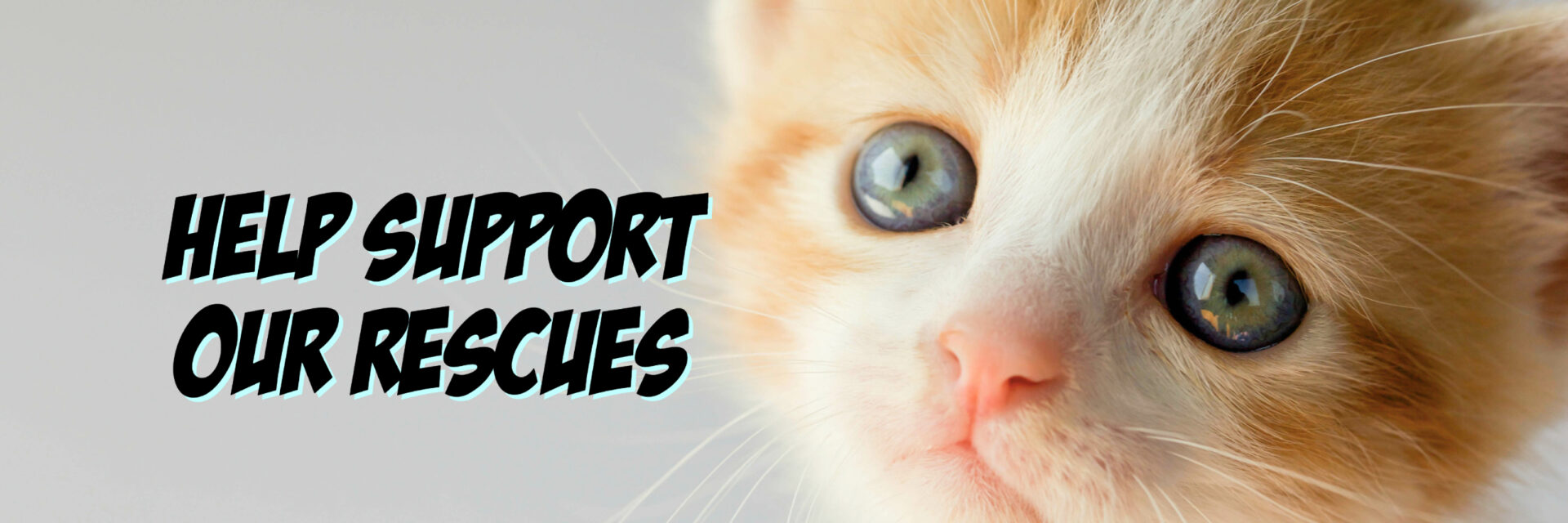 Donate - Humane Society of Dickson